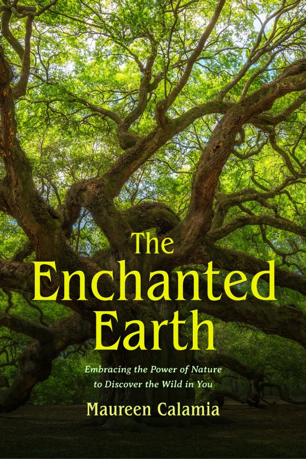 The Enchanted Earth Workshop: The Adventure of Discovering Your ...